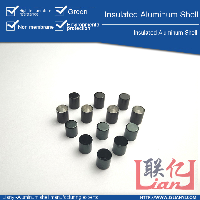 Insulated Aluminum Shell-Cold-extruded Aluminum Shell-Rudong Lianyi ...